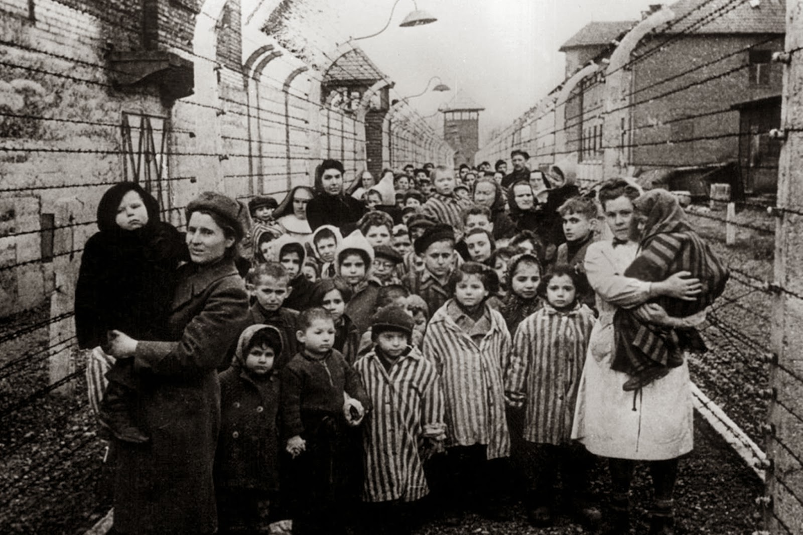 La Alemania nazi : Documental: Auschwitz